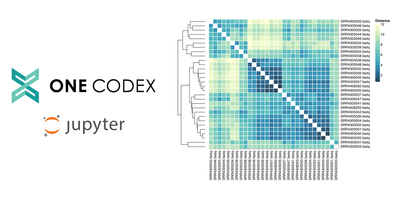 One Codex | Interactive microbiome analysis with Jupyter notebooks